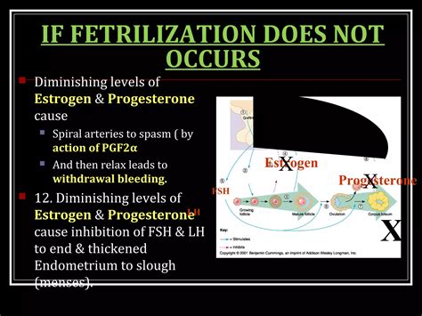 Female Reproductive Hormones Ppt