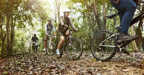 Diferencias Entre Deporte Ejercicio Y Actividad Física Guía Completa