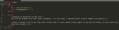 [résolu] mes codes ne s appliquent pas au navigateur par raphaelrblt page 1 openclassrooms