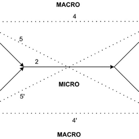 Belief Action Outcome Framework For Is Research On Sustainability