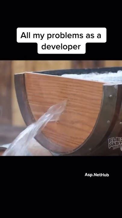 Coding Meme Codinglife Thuglife Shorts Viral Programmingmemes Codingmeme Fyp Foryou L