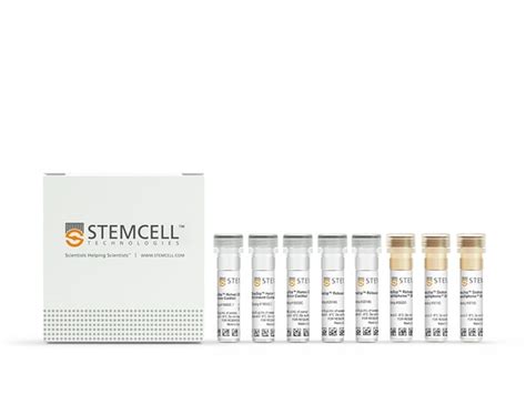 Stemcell Technologies Easysep™ Human Cd4cd127lowcd25 Regulatory T
