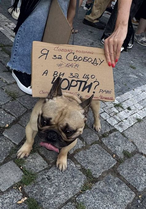 Близько 200 людей прийшли під посольство України в Празі на акцію проти ліквідації незалежності