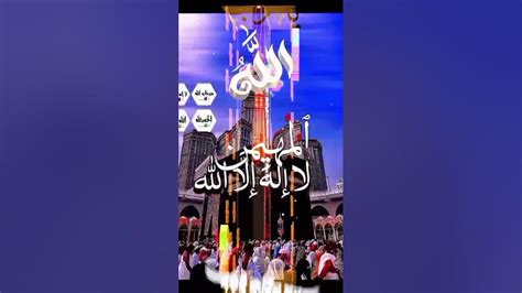 আজকের সেরা ঈদ সবাইকে ঈদ মোবারক ঈদে মিলাদুন্নবীর সালাম জানাই সবাইকে Independenceday Youtube