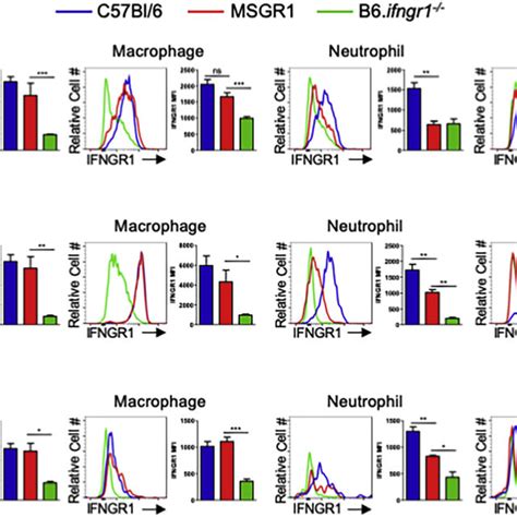 Ifngr1 Expression Is Restricted To Macrophage And Monocytes Myeloid Download Scientific