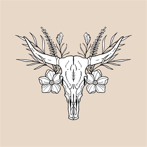 Bull Skull Illustration 42667027 Vector Art At Vecteezy