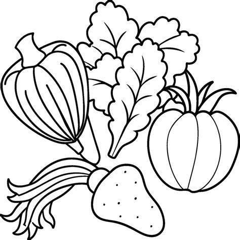 Organic Various Vegetable Coloring Pages Vegetable Outline For