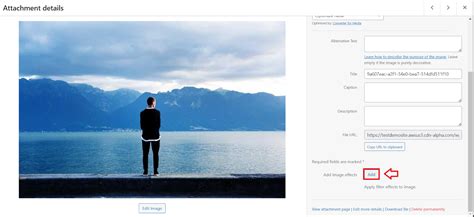 How Instagram Like Filters Can Enhance Your Wordpress Photos