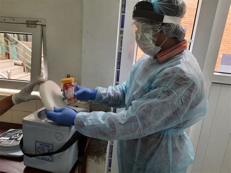 Nipah Virus NiV Introduction Morphology Pathogenicity Lab Diagnosis