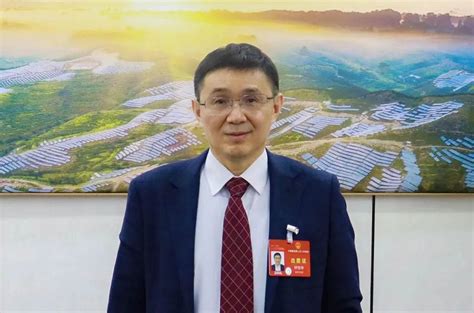 对话隆基董事长钟宝申：如何应对产能过剩？光伏电池隆基绿能晶科能源多晶硅电池手机新浪网