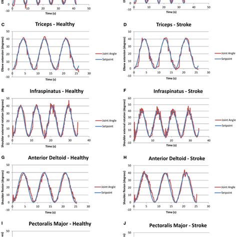Graphs Of Closed Loop Fes When Applied To Various Muscles For Healthy Download Scientific