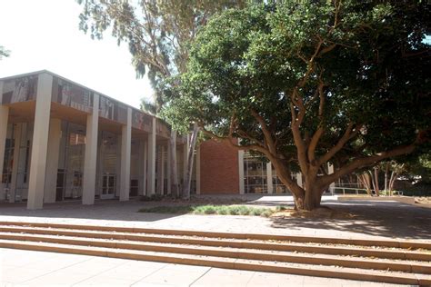 カリフォルニア大学ロサンゼルス校 Saf