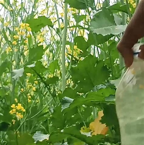 Bhabhi Land Ke Deewane Free Gay Porn F Xhamster