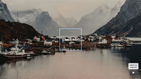 50 Fancy CSS Checkbox Examples Iamrohit In