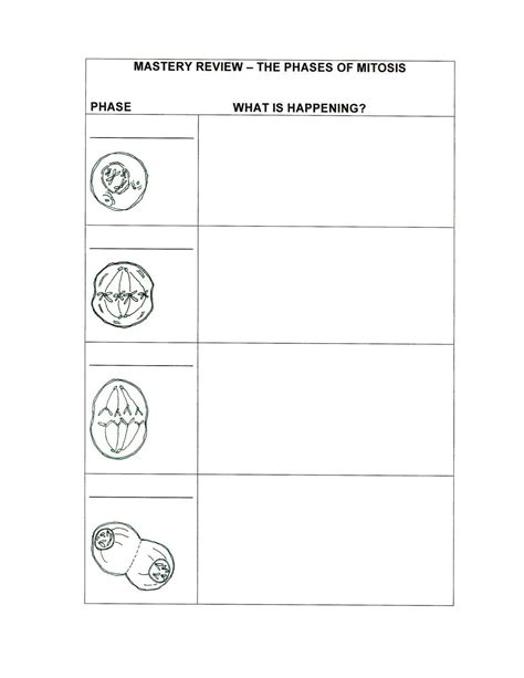 Math Worksheets Pdf Pea Plant Punnett Square Worksheet
