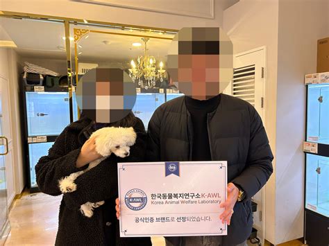 비숑프리제 바람이 티컵말티푸분양하는곳 티컵푸들분양하는곳 티컵강아지분양하는곳 화이트비숑프리제분양 화이트포메라니안분양 화이트말티즈