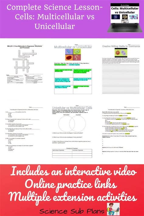 Cells Multicellular Vs Unicellular Interactive Video And Activities Video Middle School