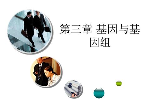 3第三章 基因与基因word文档在线阅读与下载无忧文档