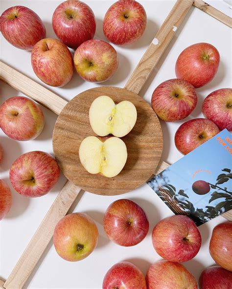 소중한 순간들 아이랑 가볼만한 곳‚ 리빙‚ 일상 T L Gossine Farms 요즘 가장 인기 많은 고씨네 청송 햇사과🍎 한입소과 5kg 아기 주먹만 한