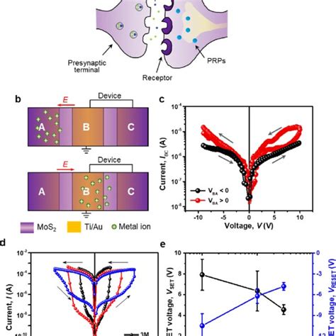Electrical Characterizations Of The Neuromorphic Devices A Schematic Download Scientific