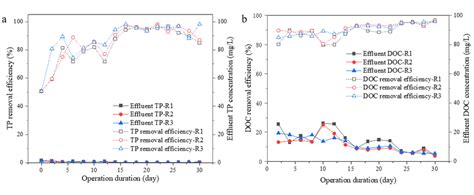Effluent Nitrogen Concentrations And Tn Removal Efficiency Effluent Tn Download Scientific