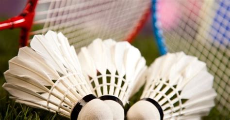 中 ‘귀족 스포츠된 배드민턴 알고 보니셔틀콕 가격 천정부지 여기는 중국