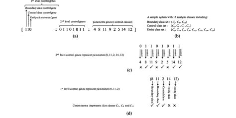An Example Of The Hierarchical Structure Of Chromosome In Ccic A A
