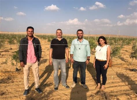 الهاشمية تنافس على ذهبية أفضل مزرعة في مهرجان الزيتون المصري