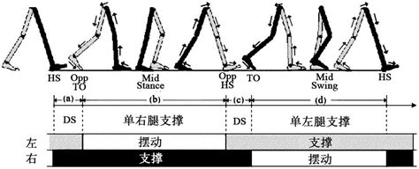 步态 偏瘫步态 跨阈步态 第4页 大山谷图库