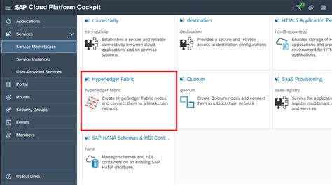 Hyperledger Fabric On Sap Cloud Platform Go Coding