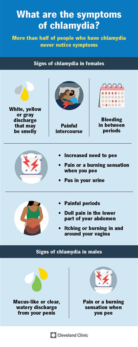 Chlamydia Khám Phá Nghĩa Ví Dụ Câu Và Cách Sử Dụng Từ Chlamydia