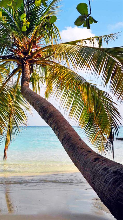 Обои остальные остров пляж 1080x1920 Iphone 6s 7 8 от Chappie картинки на рабочий стол и