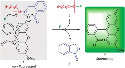 Fluorine Ion