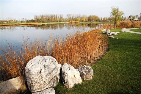 北理工良乡校区北湖工程获优秀园林绿化工程