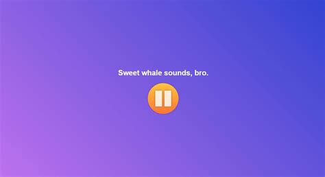 Css Play Pause Button Examples With Animation Onaircode