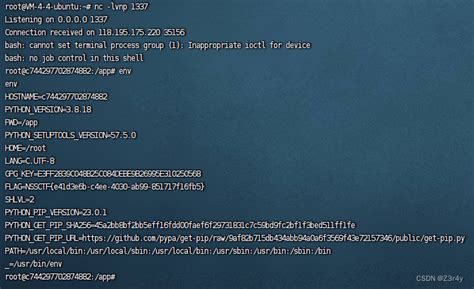 【web】nssround 1 20 basic 刷题记录 全 [nssround 13 basic]timetrcer csdn博客