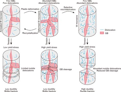 Schematic Diagram Showing The Microstructures And Deformation