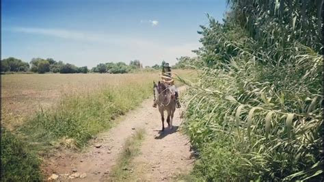 Caro Gil 🐎 ️ Instagram