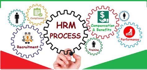 Lever De Beste Hr Service Met Empower Nmbrs Empower Hr And Salarisbureau