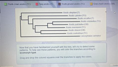 Solved Trunk Crown Anoles Tctwig Anoles Ttrunk Ground