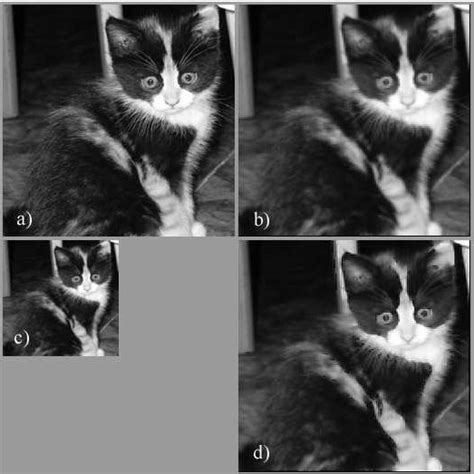 An Example Of A Uniform Fuzzy Partition Of 1 4 By Sinusoidal