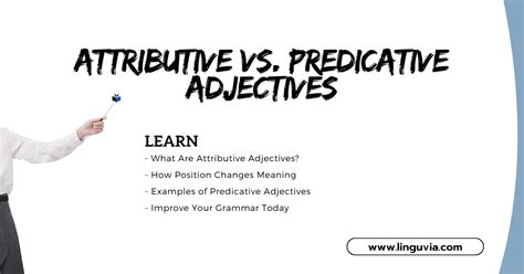 Attributive Vs Predicative Adjectives Learn The Difference Linguvia