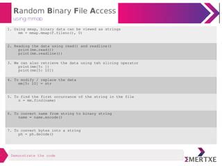 Python Programming Files Ppt