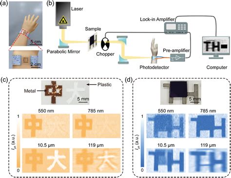 A Flexible And Wearable Photodetector Enabling Ultra‐broadband Imaging From Ultraviolet To