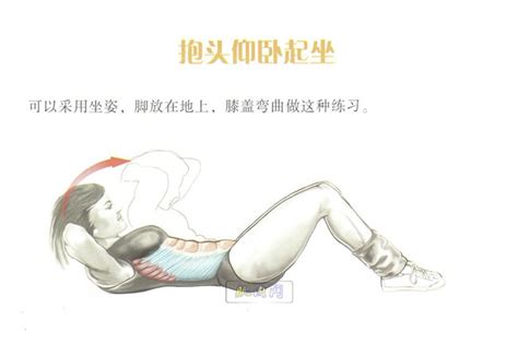 腹肌训练动作图解、健身房练腹肌动作图解肌肉网
