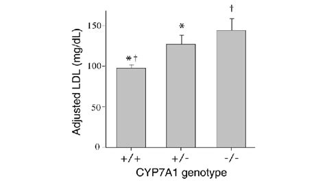 Plasma Ldl Analysis Values Were Adjusted For Age And Sex And Are Means