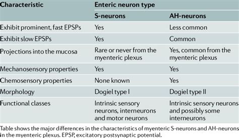 Comparison Of Two Major Types Of Enteric Neuron Download Scientific