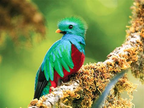 Experiences In Natural Spaces In Central America