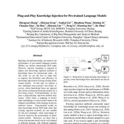 plug and play knowledge injection for pre trained language models acl