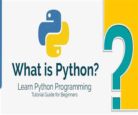 What Are The Best Online Courses For Python Beginners Mindstick